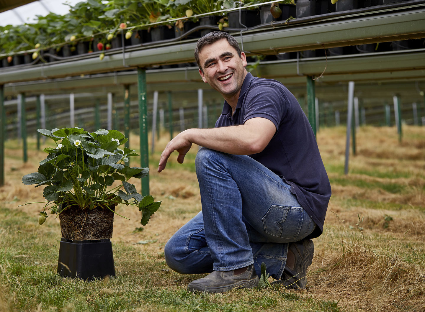 Our Story - Hugh Lowe Farms