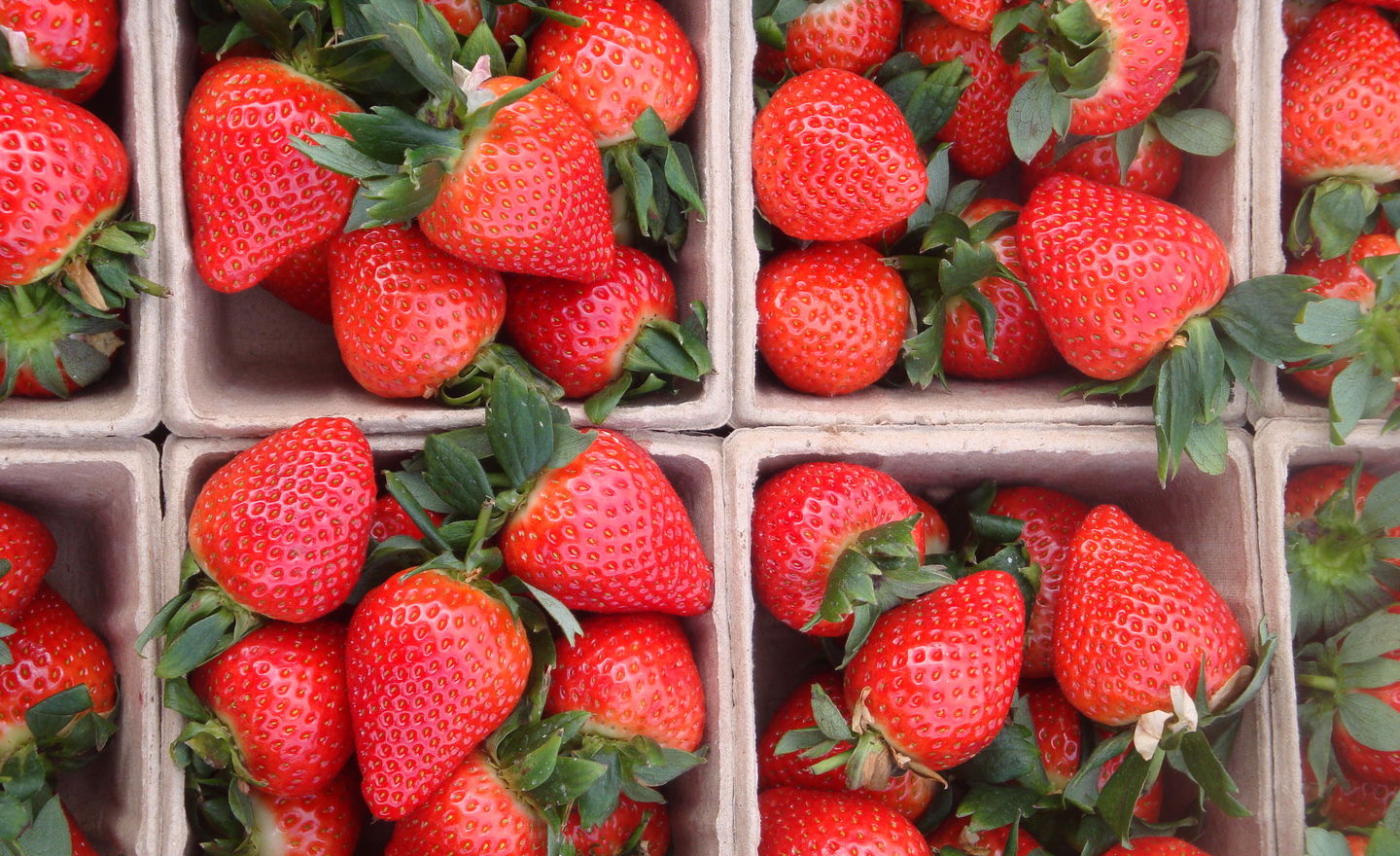 Our Fruit - Hugh Lowe Farms