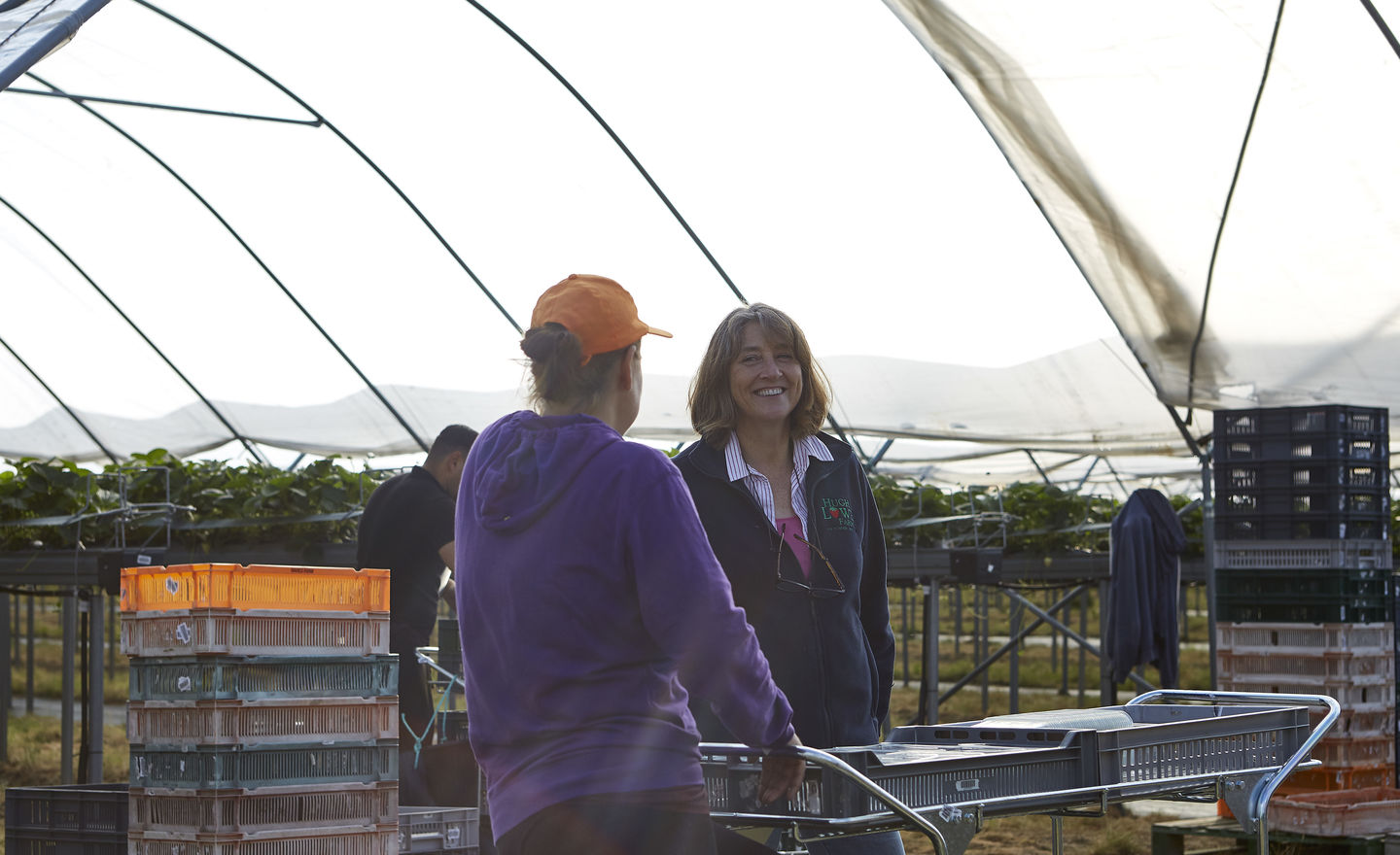 How We Harvest - Hugh Lowe Farms
